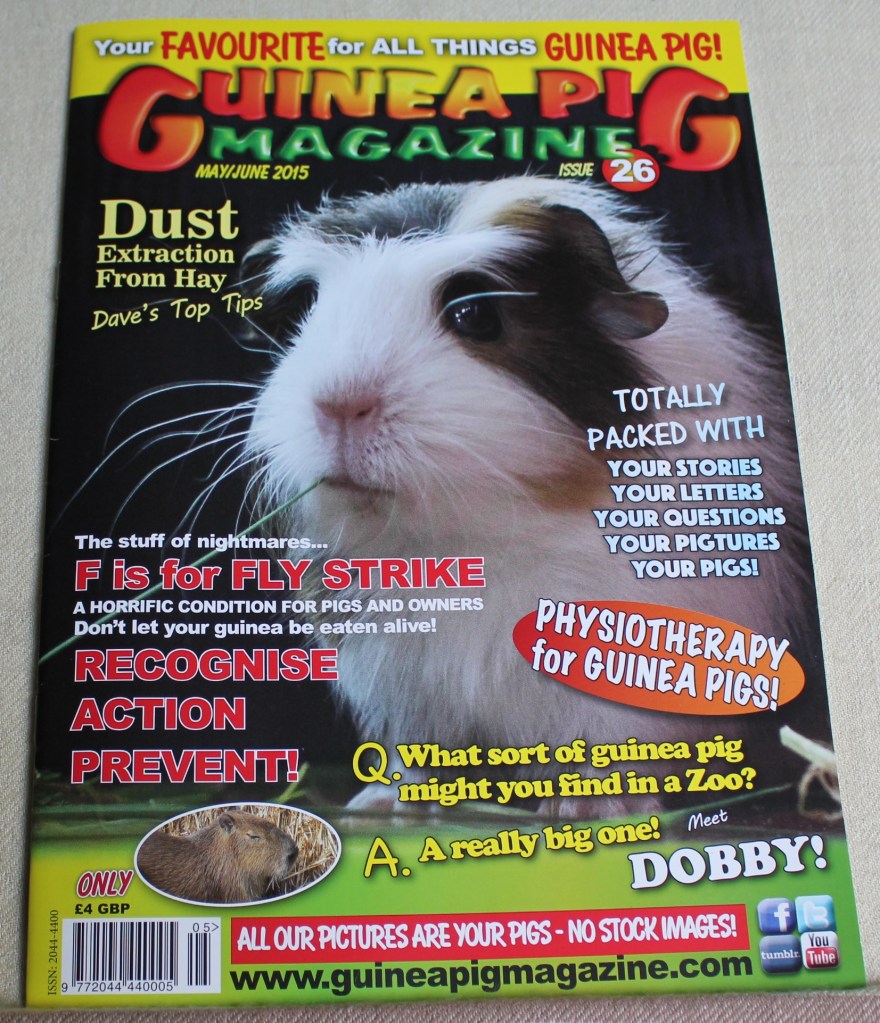 My Magazine Debut | Dobby the Capybara