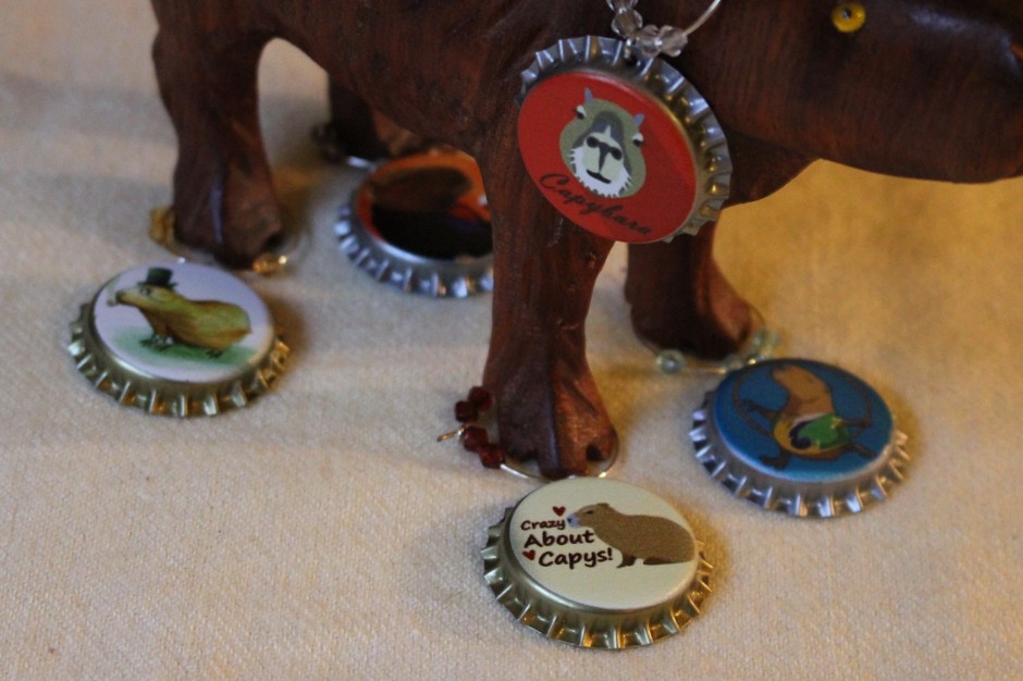 Big Teeth, Bigger Dental Bills | Dobby the Capybara