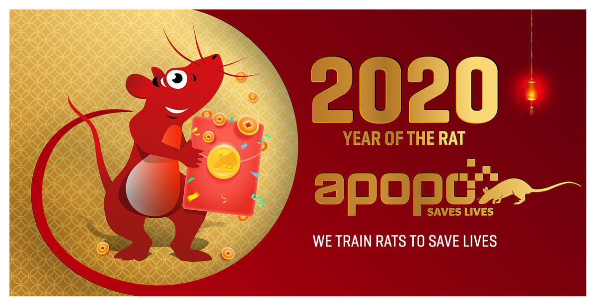 APOPO Hero Rats | Dobby the Capybara