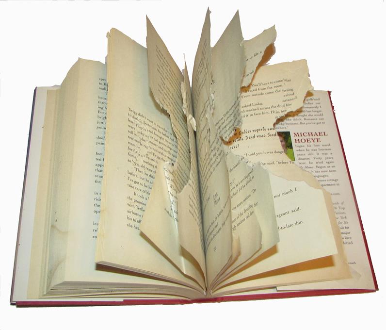 Rat-chewed book | Dobby the Capybara