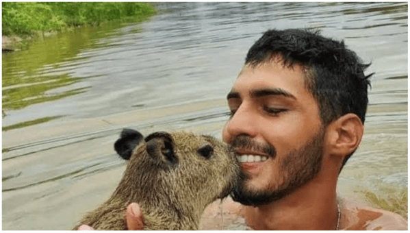Can You Legally Own a Pet Capybara? - Baby Capybara
