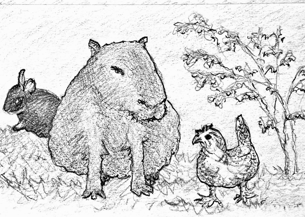 3 friends | Dobby the Capybara